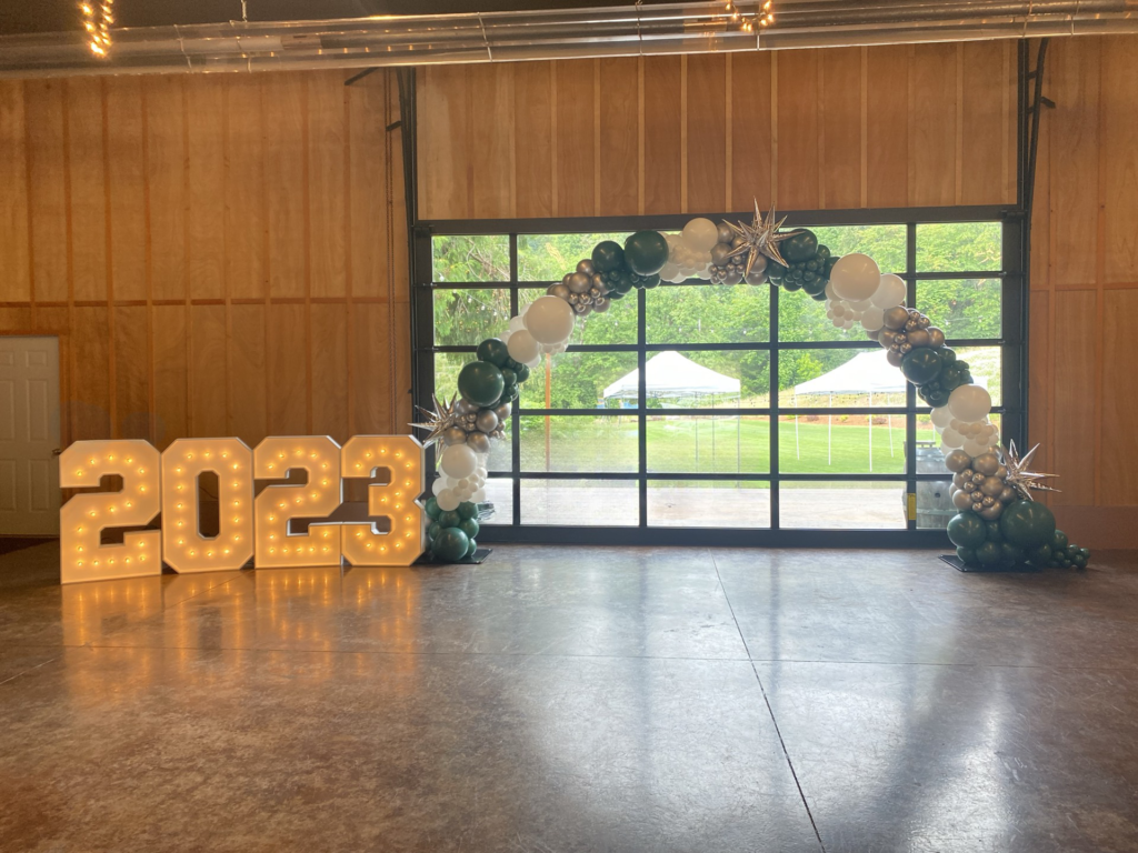 Medium Balloon Arch | Inflated Dreams